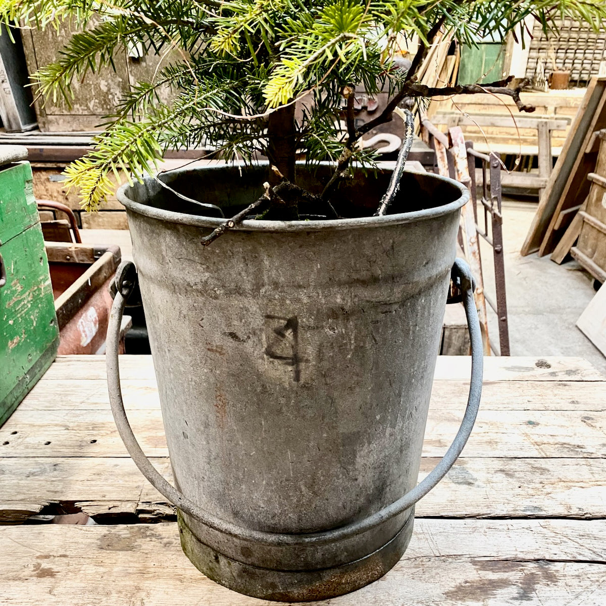Tall Galvanised Container — Lawson's Yard LTD