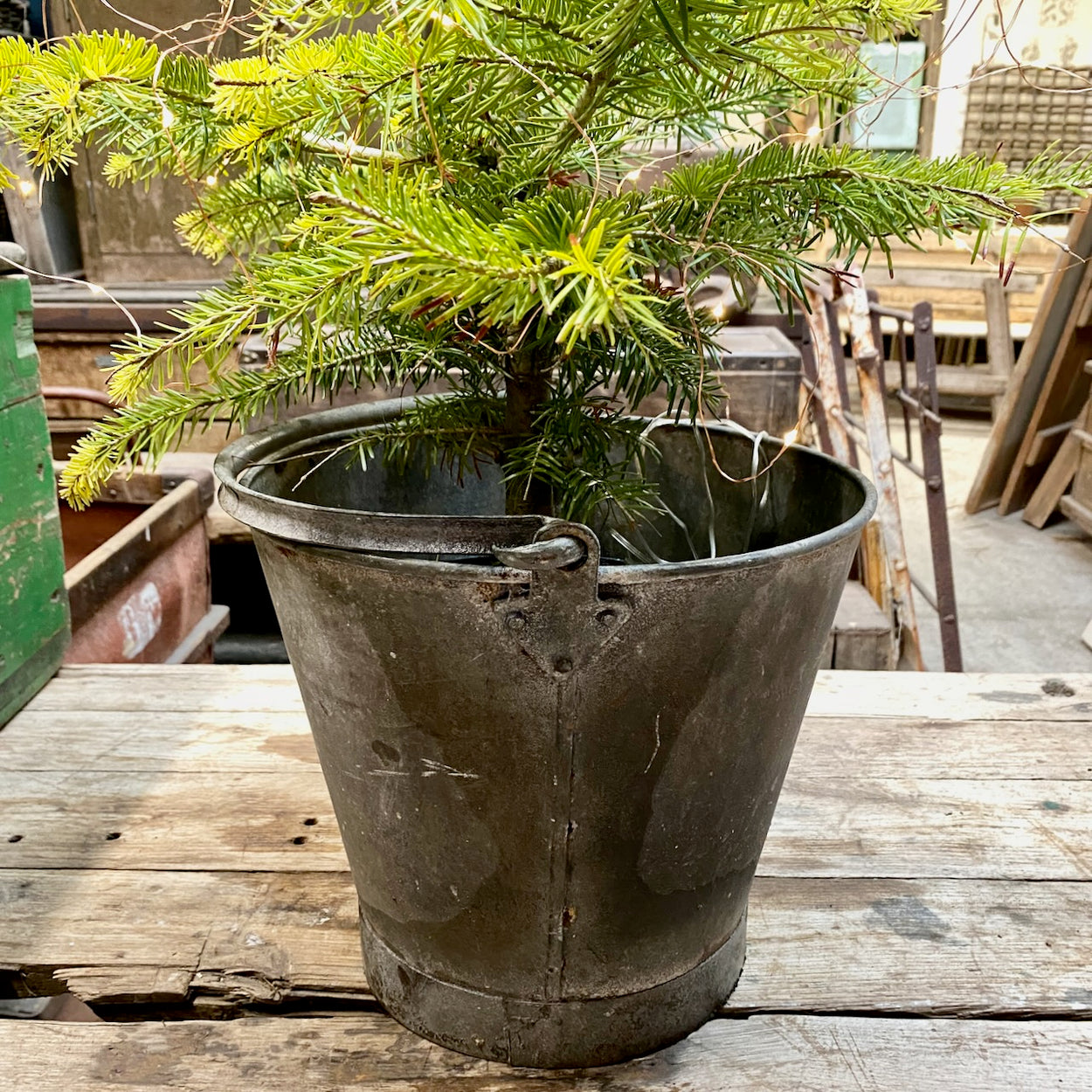 Galvanised Medium Bucket — Lawson's Yard LTD