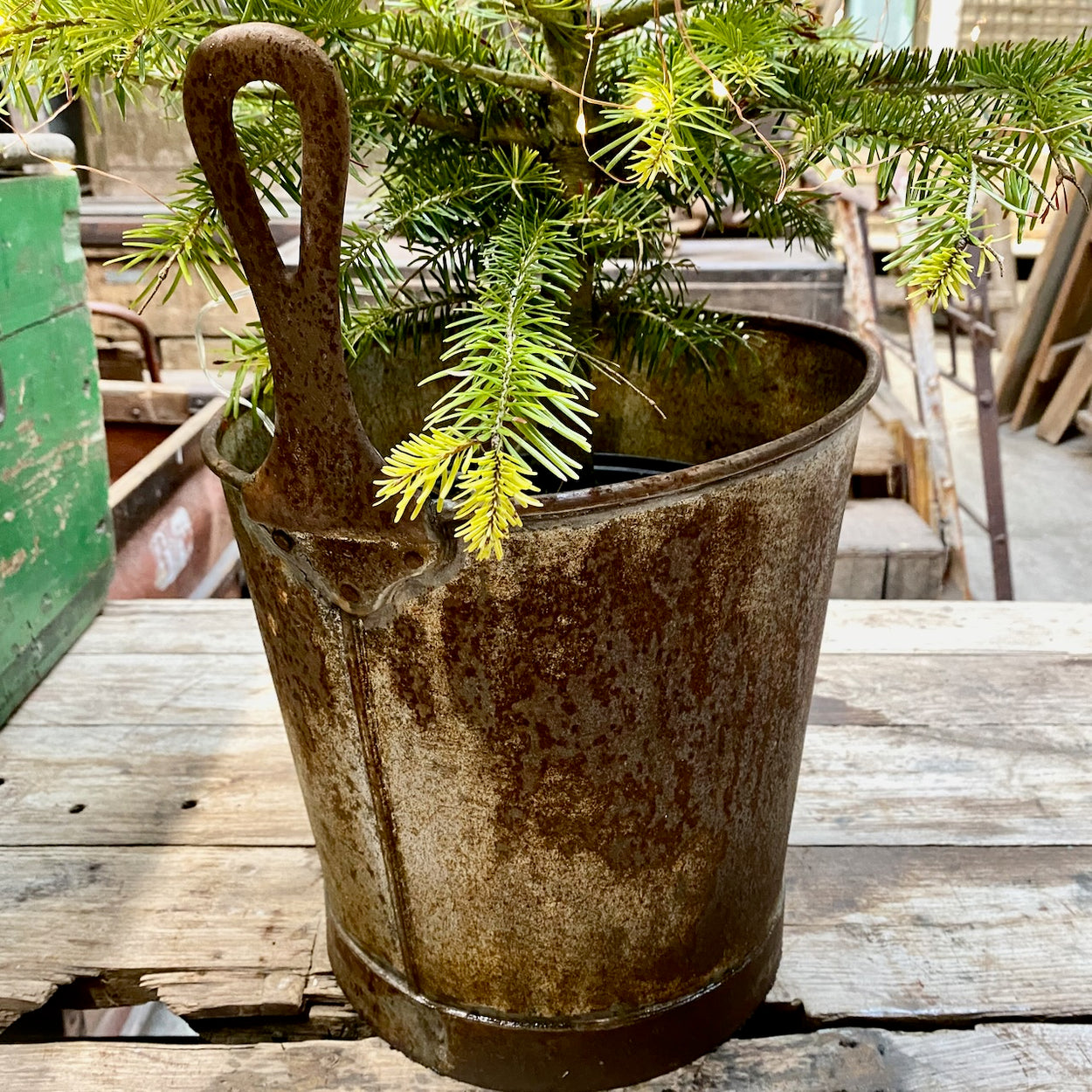 Galvanised Container With Upright Handle — Lawson's Yard LTD