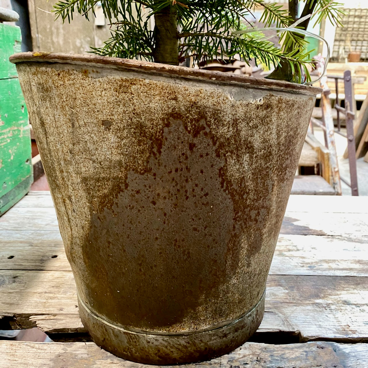 Galvanised Container With Upright Handle — Lawson's Yard LTD